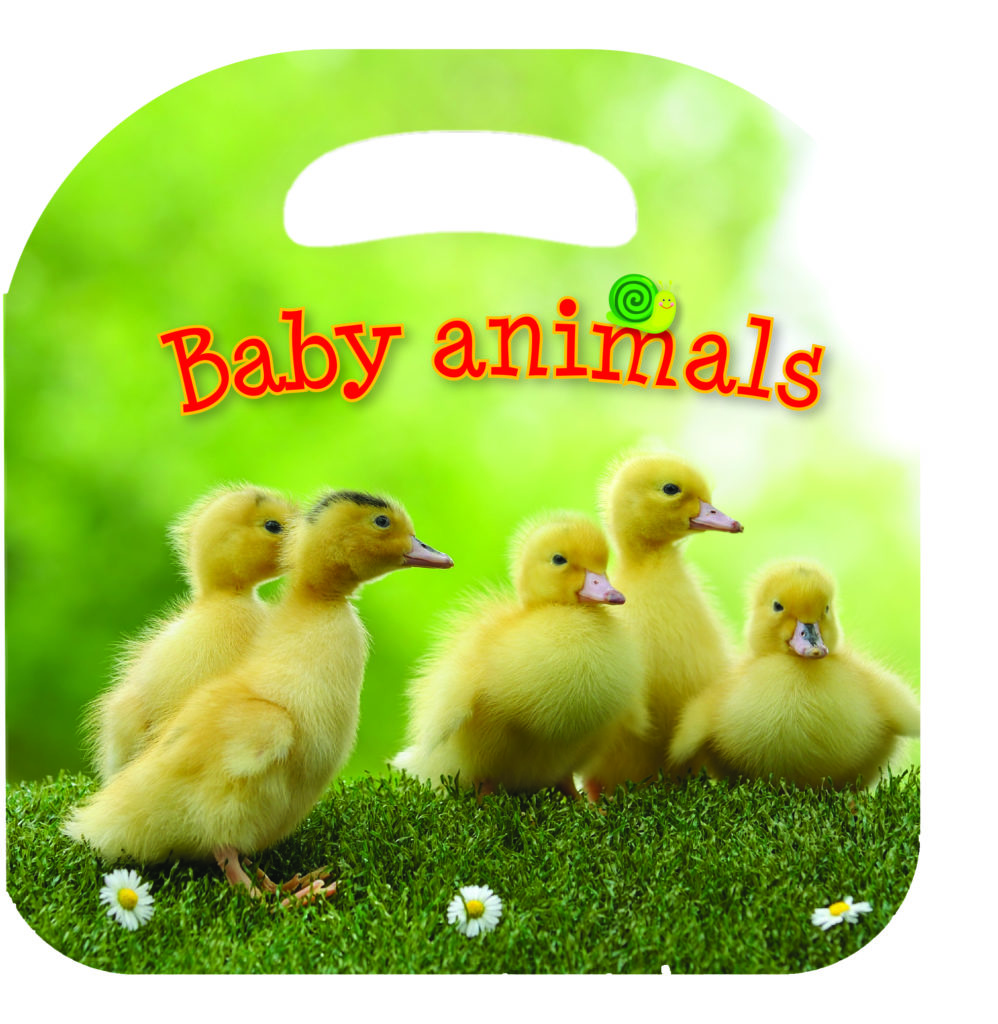 Animal board books - Cuberdon books