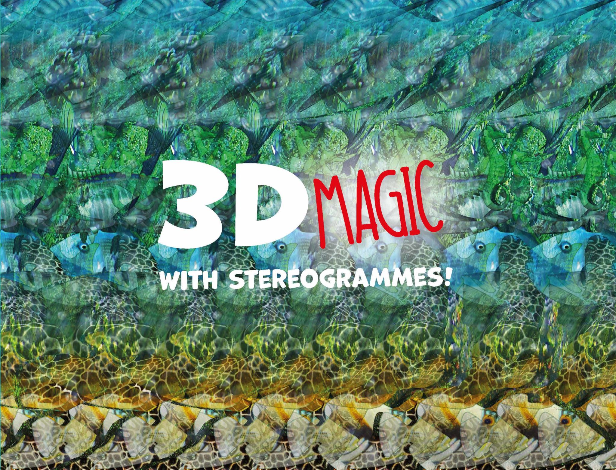 Stereogrammes - Cuberdon books