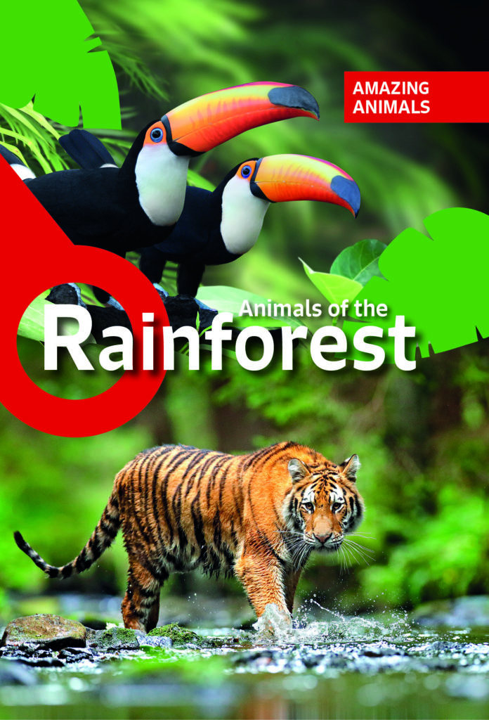 Amazing Animals - Cuberdon books